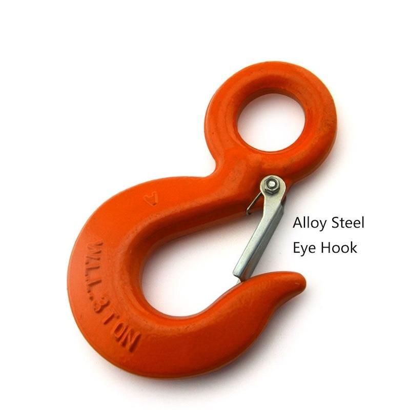 Hoist Safety Forged Rigging Eye Hook S320 with Latch - Aqua Rigging